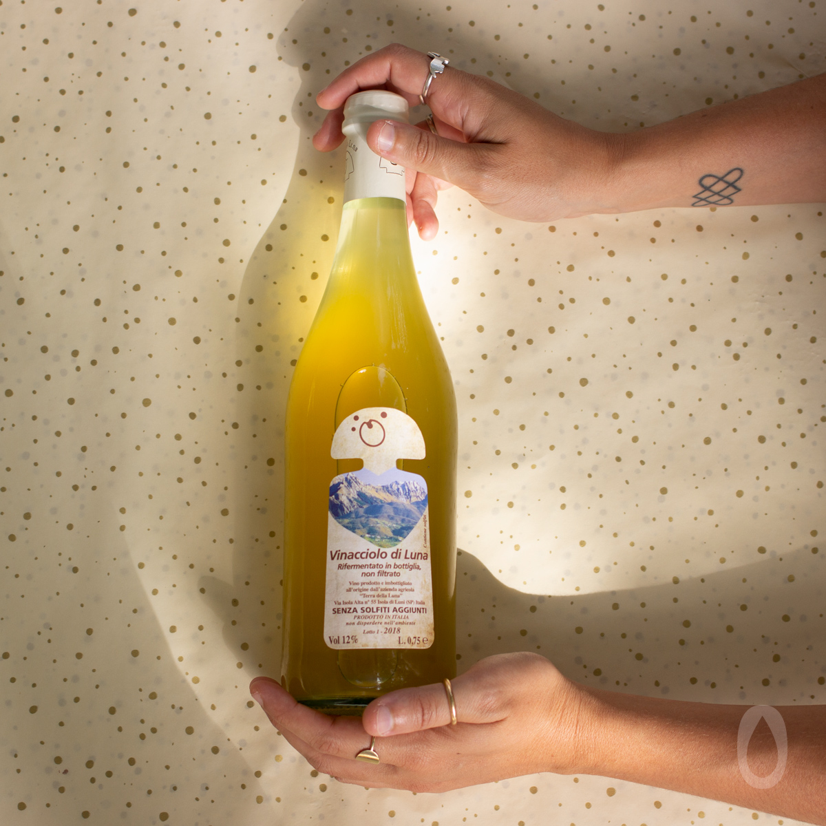 Vinacciolo di Luna - Vermentino - Indigeno Vini Let's drink natural wine